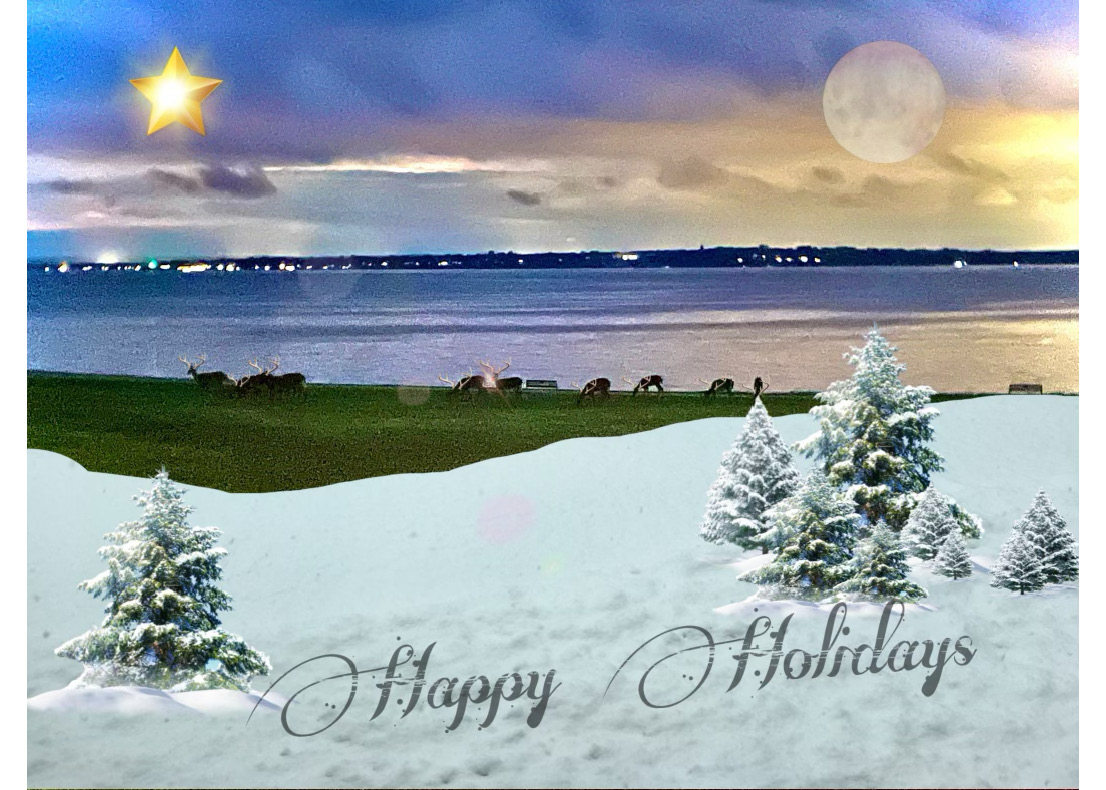 Creativity Shines Bright: Carson Scholars' First-Ever Holiday Art ...