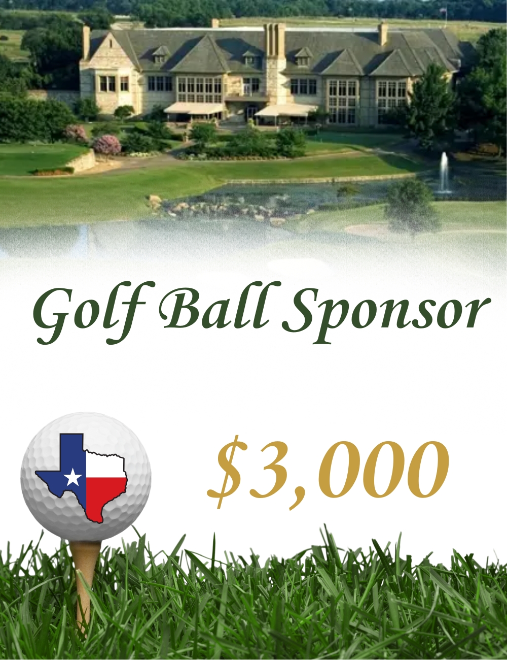 Golf Ball Sponsor - Carson Scholars Fund